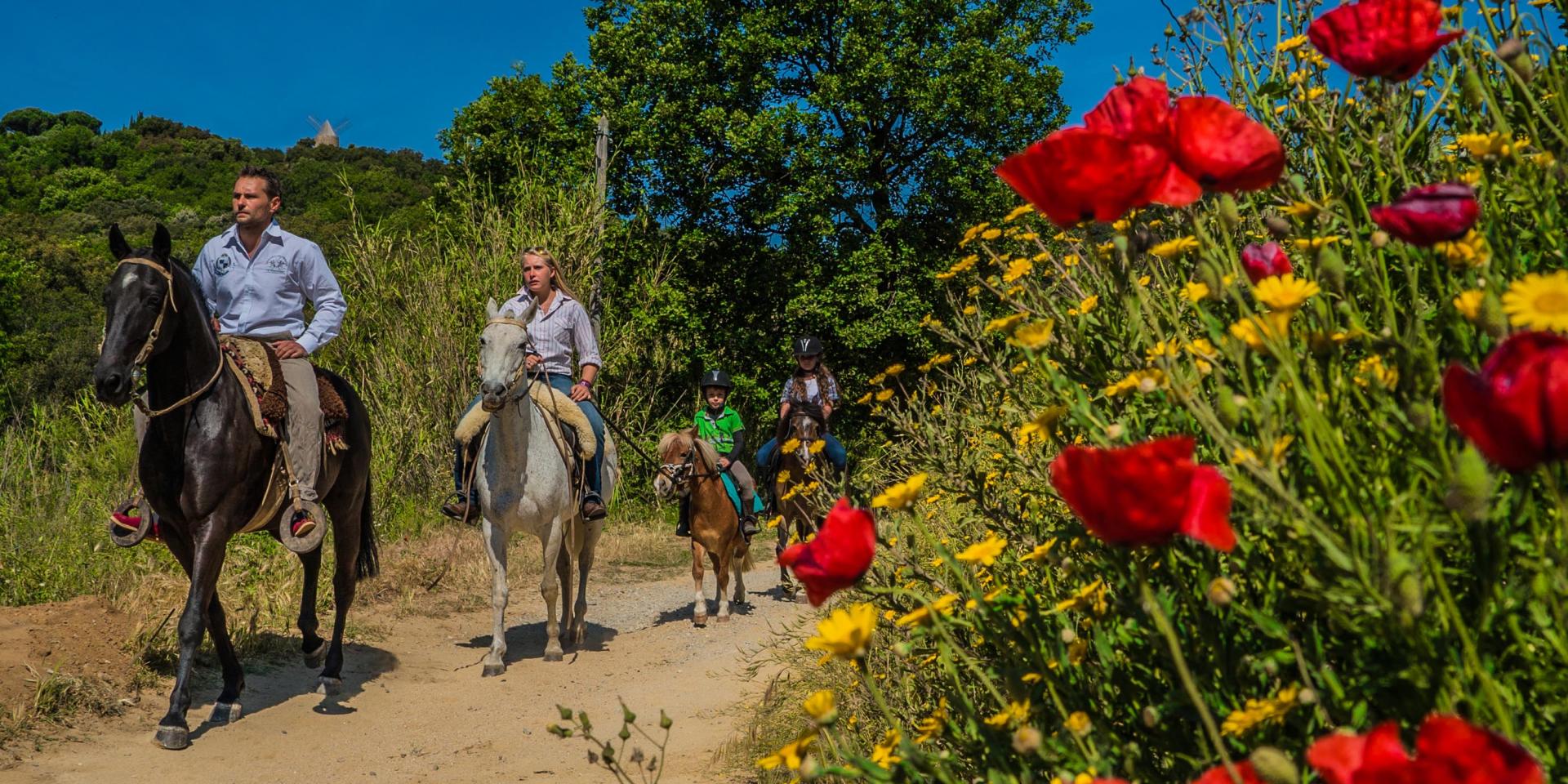 All the activities | Charm of Provence & French Riviera