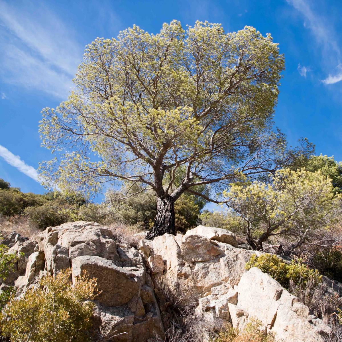 Interactive map | Charm of Provence & French Riviera
