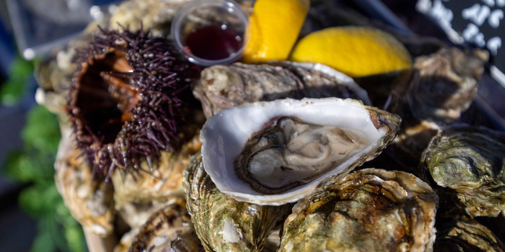 The “Truffle Festival” market | Charm of Provence & French Riviera