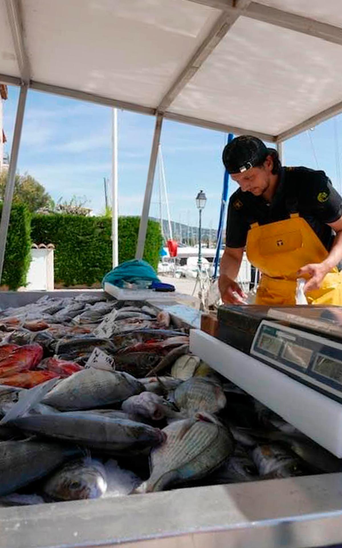 My fish is fresh! | Charm of Provence & French Riviera