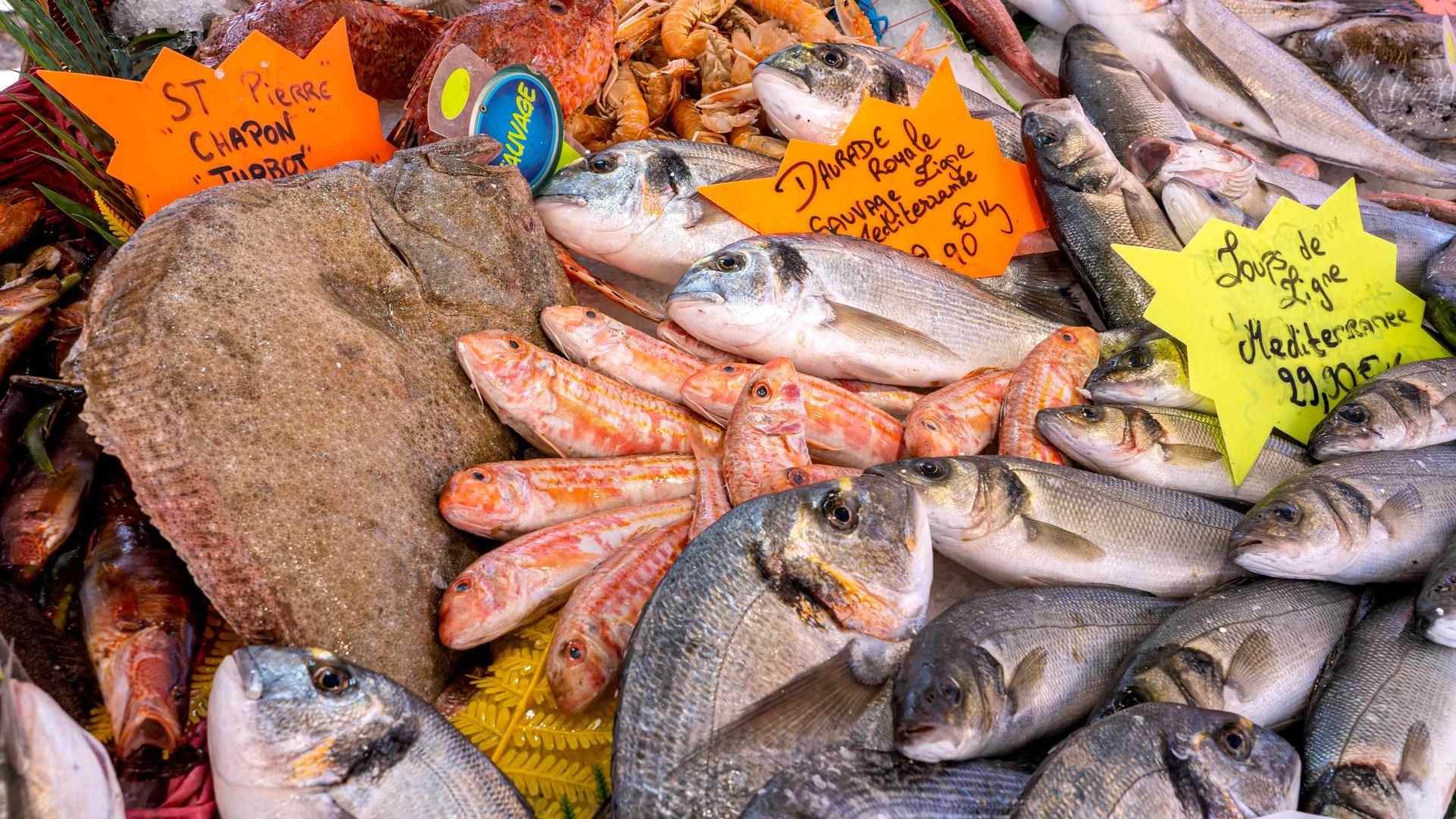 My fish is fresh! | Charm of Provence & French Riviera