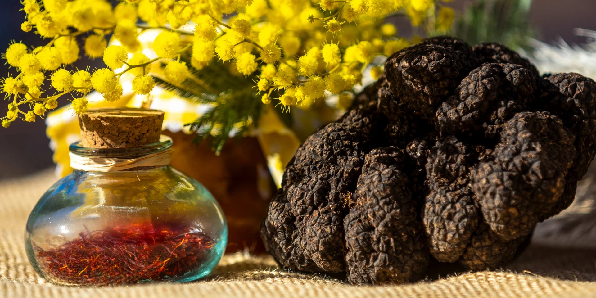 The “Truffle Festival” market | Charm of Provence & French Riviera