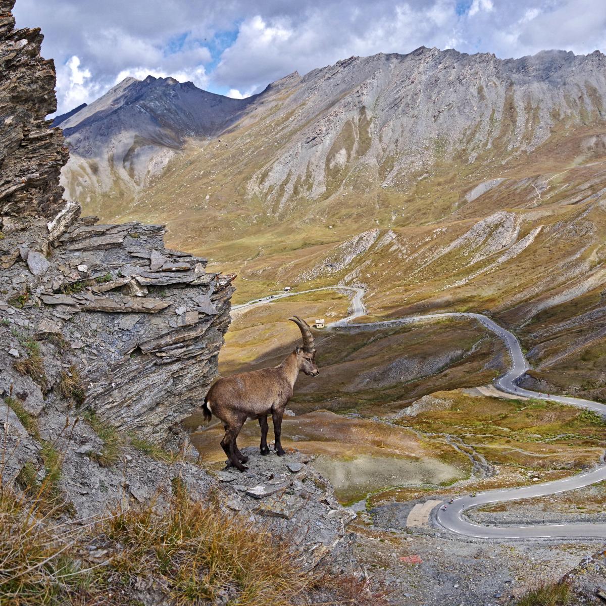The Great Mountain Passes Tour