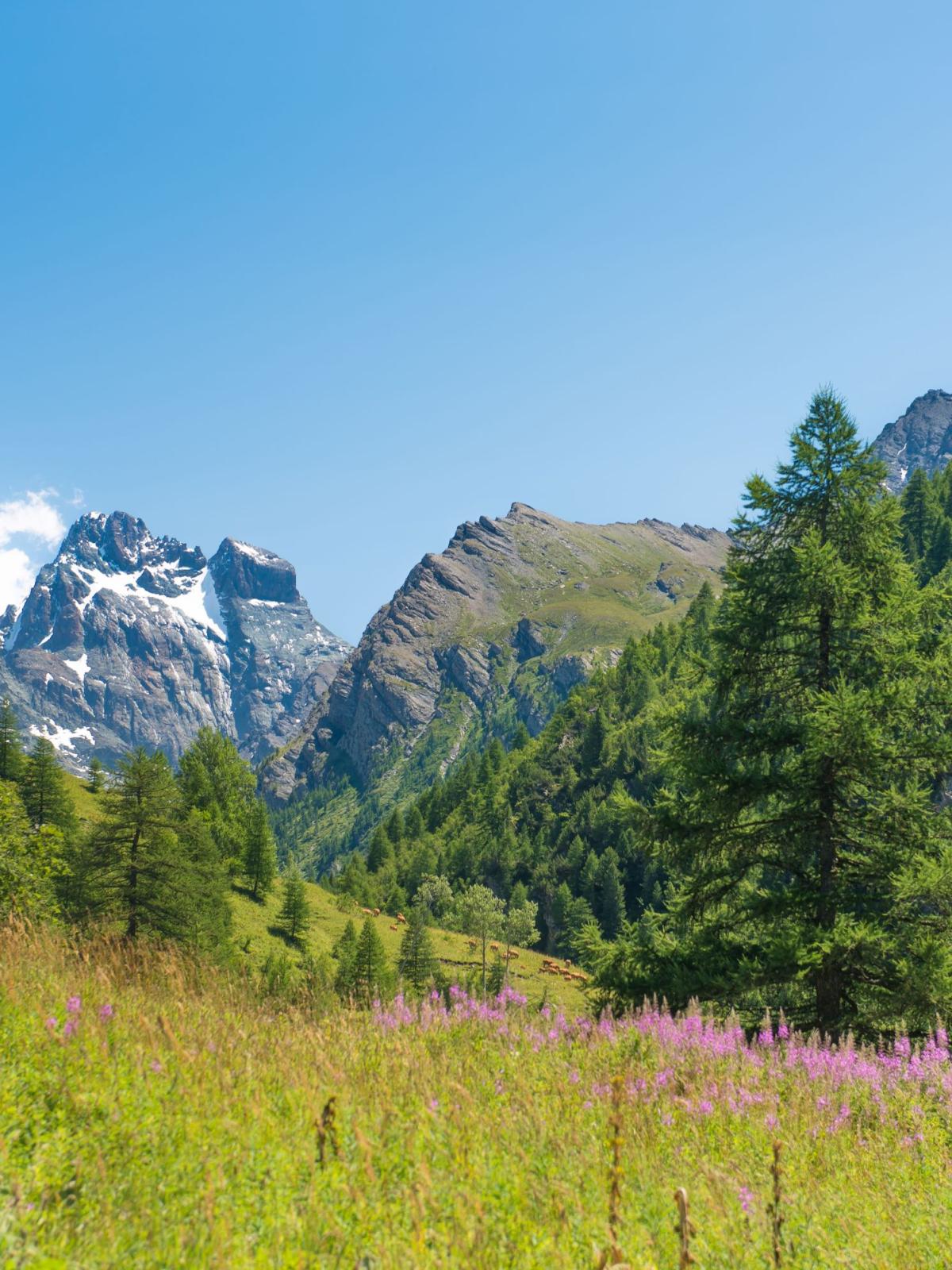 Col Agnel entre Queyras et Italie – le 2ème plus haut col routier des Alpes
