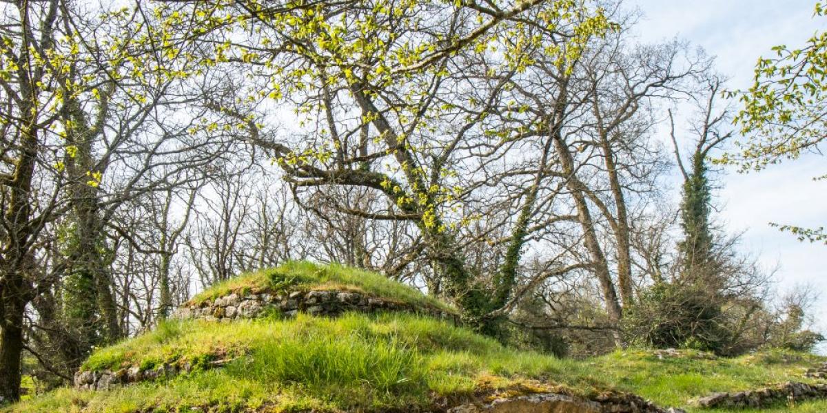 Bougon | Office de Tourisme Haut Val de Sèvre