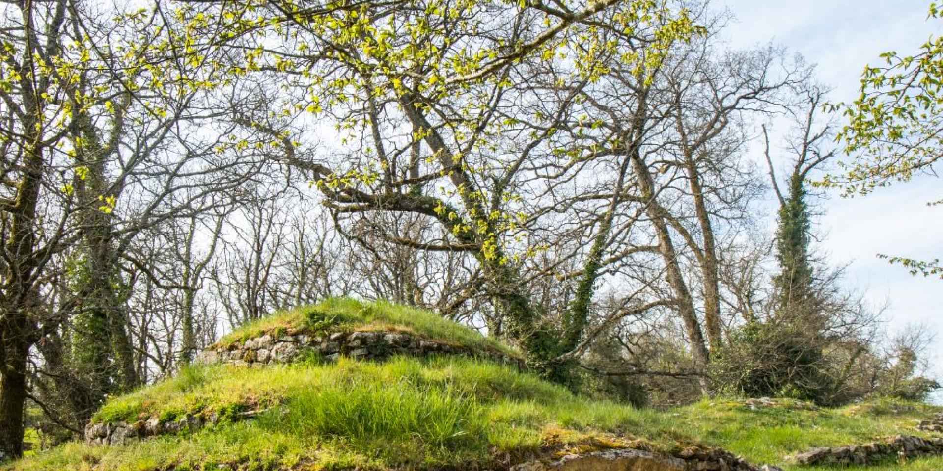 Bougon | Office de Tourisme Haut Val de Sèvre