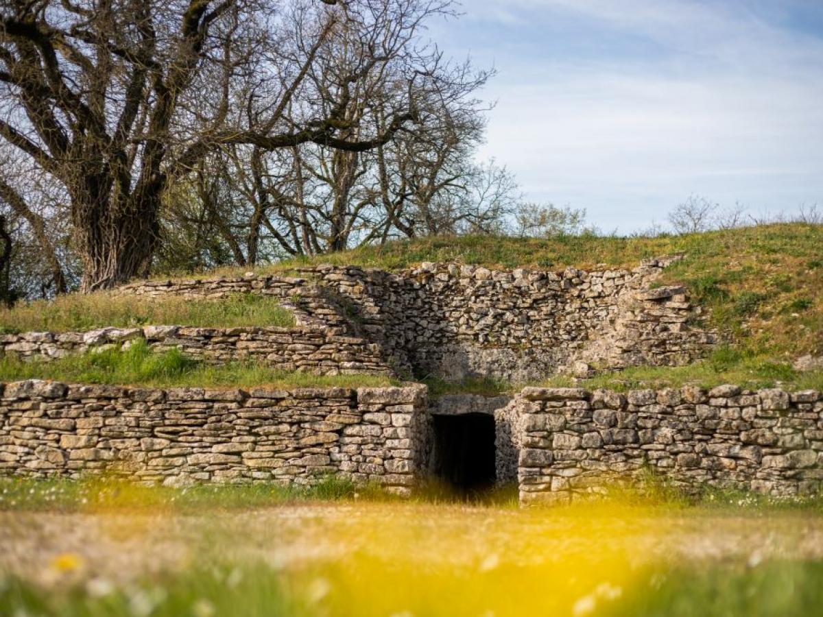 Musée des Tumulus de Bougon | Office de Tourisme Haut Val de Sèvre