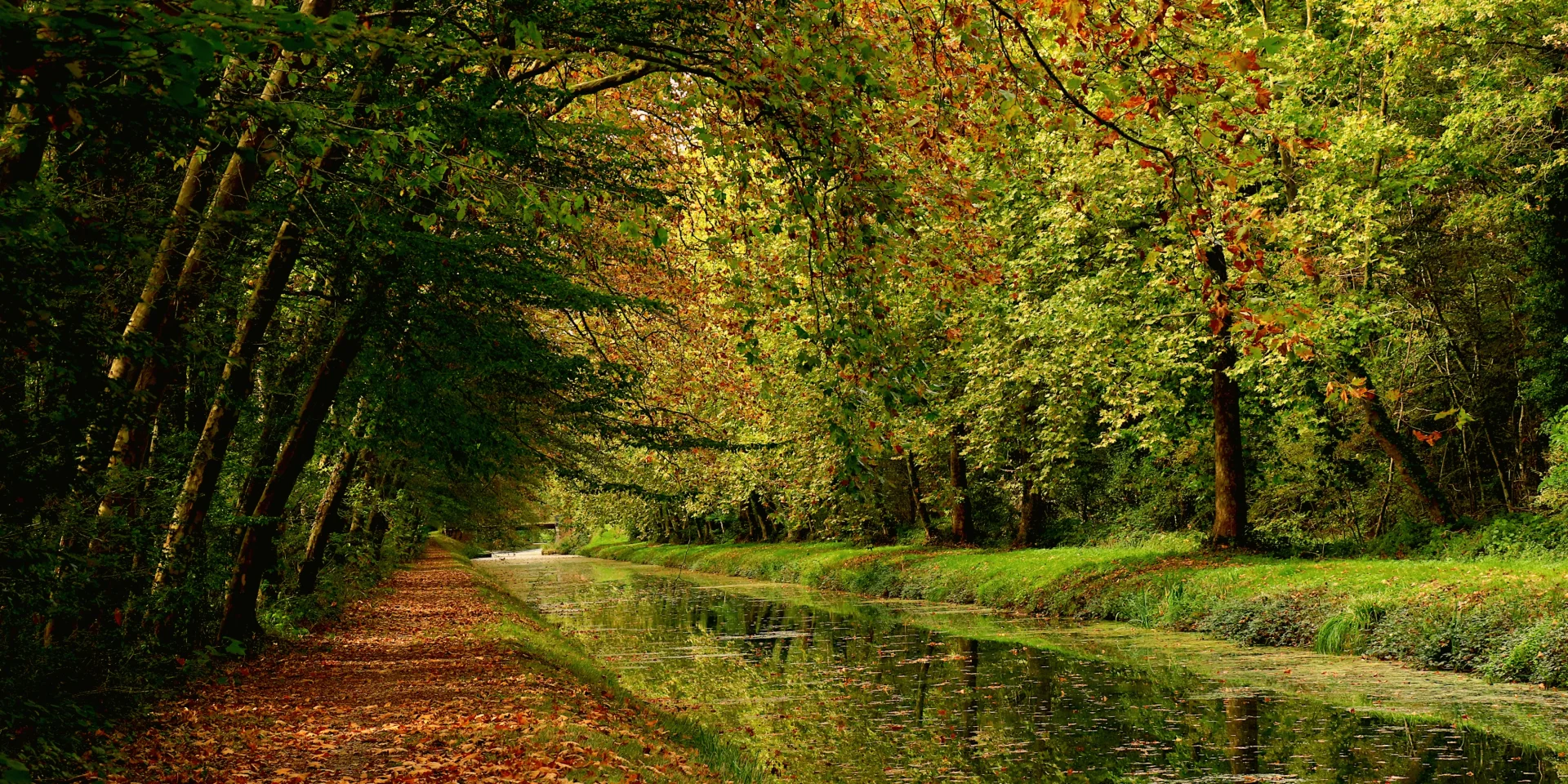 Favourites | The route Jacques-Coeur