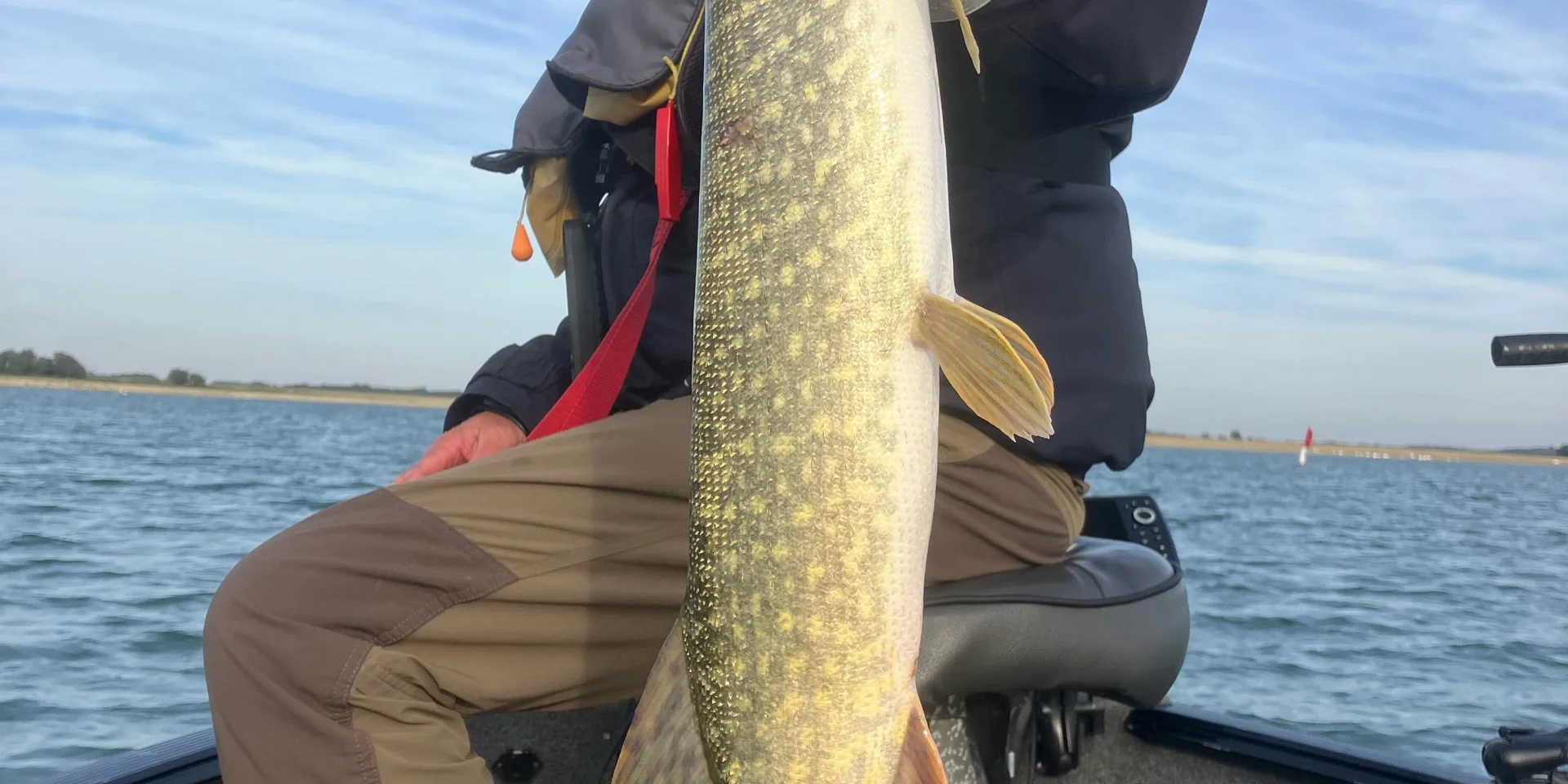 Carnivorous fish | Tourist Office Lac du Der en Champagne