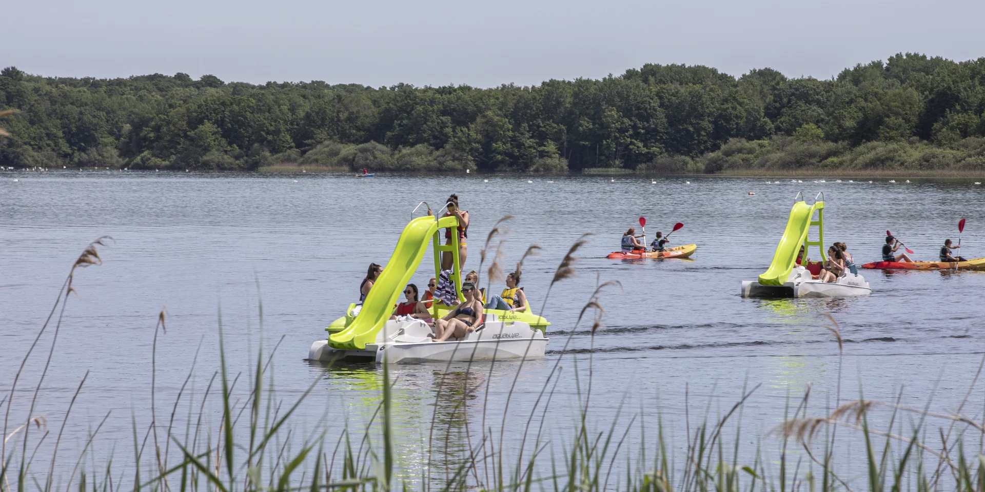 Avec une rame ou en pédalo | Office de Tourisme Lac du Der en Champagne