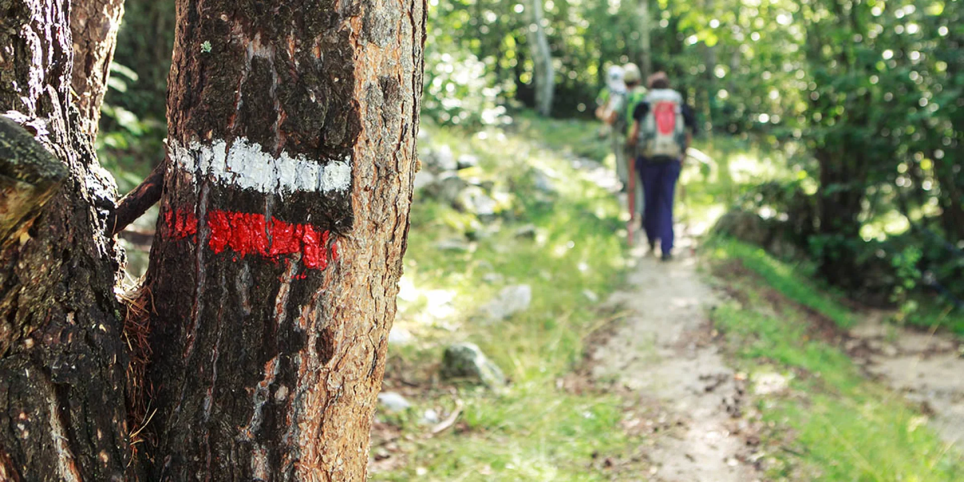 Sentiers de Grande Randonnée | Office de Tourisme Lac du Der en Champagne