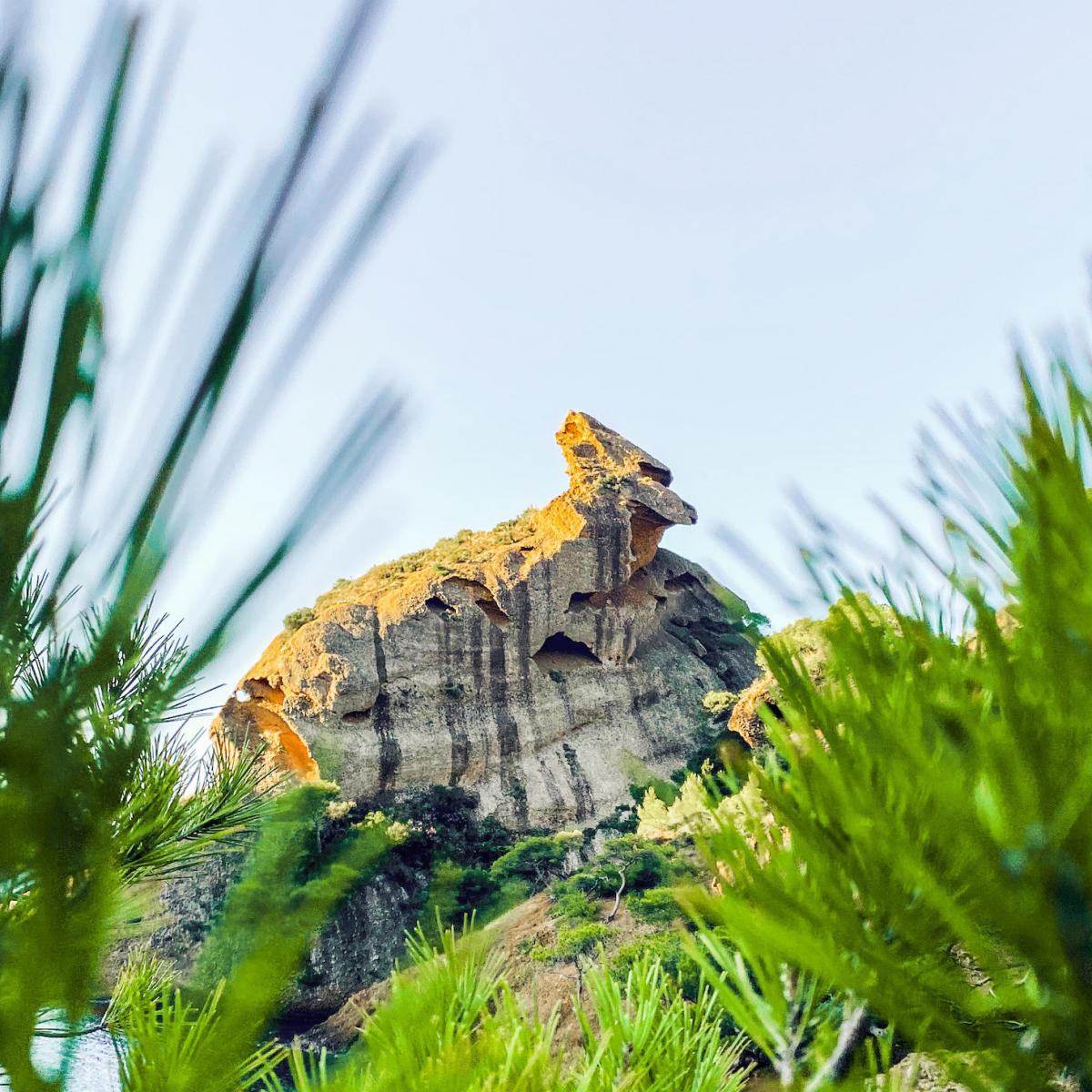 La Calanque du Mugel | Office de Tourisme de La Ciotat