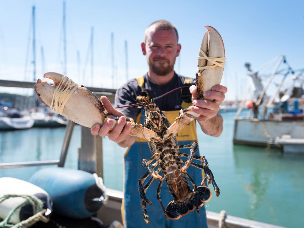 The best Breton expressions | Office de Tourisme de la Côte de Granit Rose
