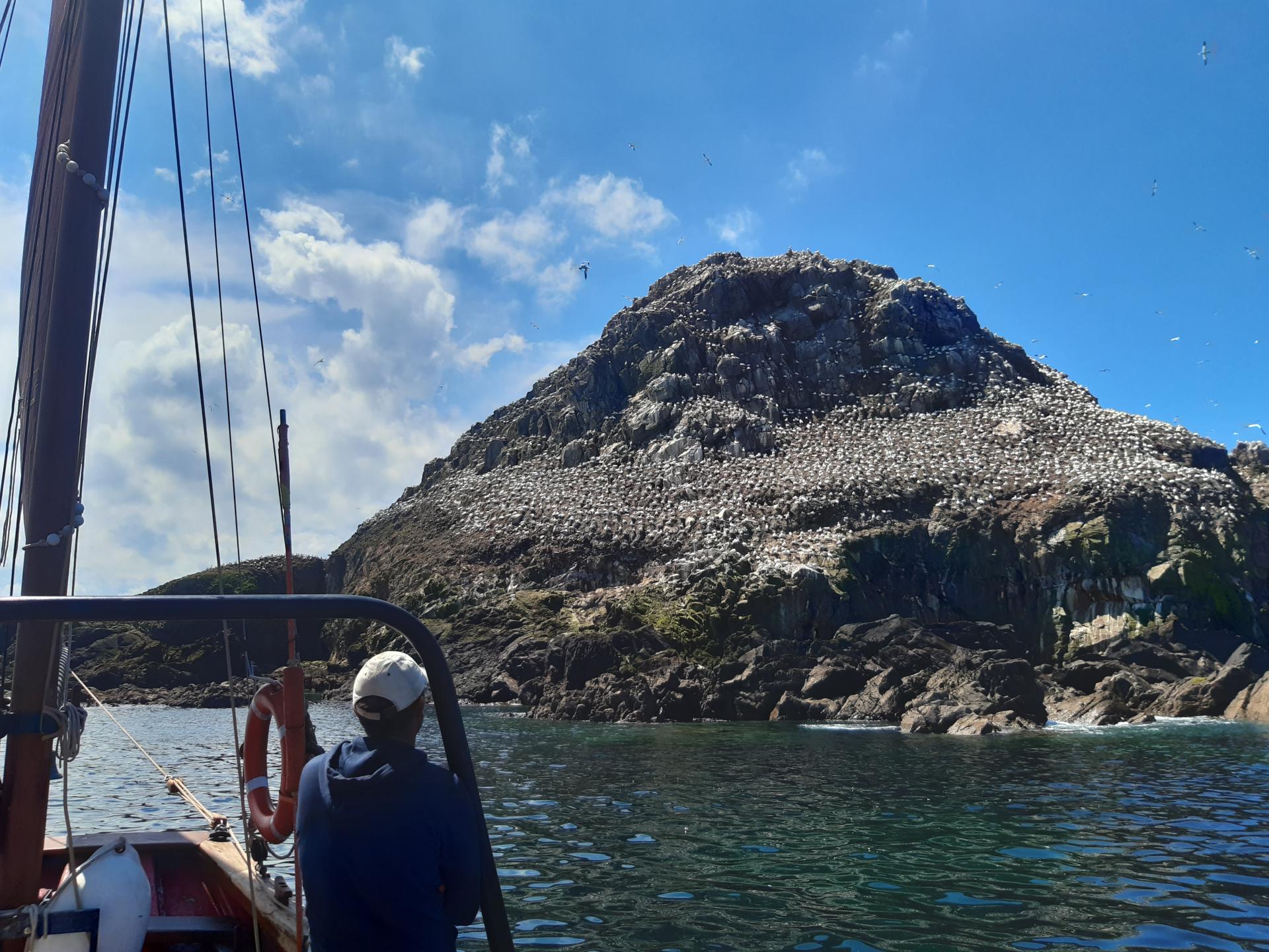 Archipel des 7 îles : le récit d’une journée en mer