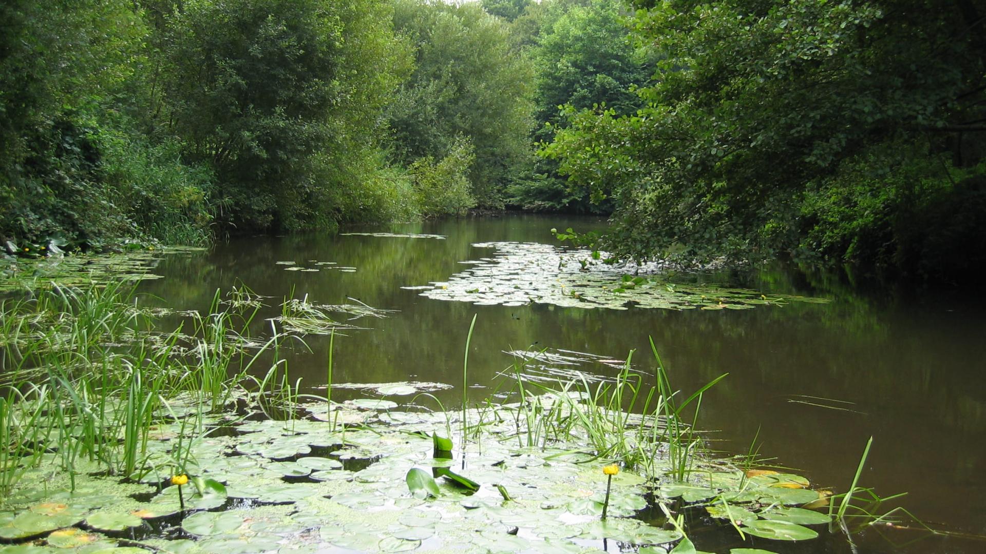 La Roche-Jaudy | Office de Tourisme de la Côte de Granit Rose