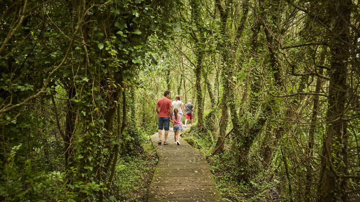 Trébeurden | Office de Tourisme de la Côte de Granit Rose