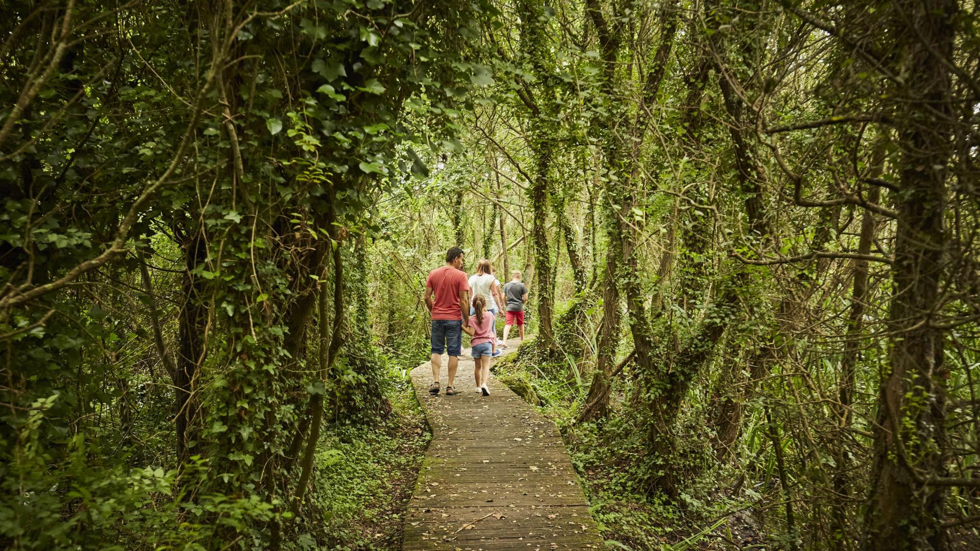 Trébeurden | Office de Tourisme de la Côte de Granit Rose