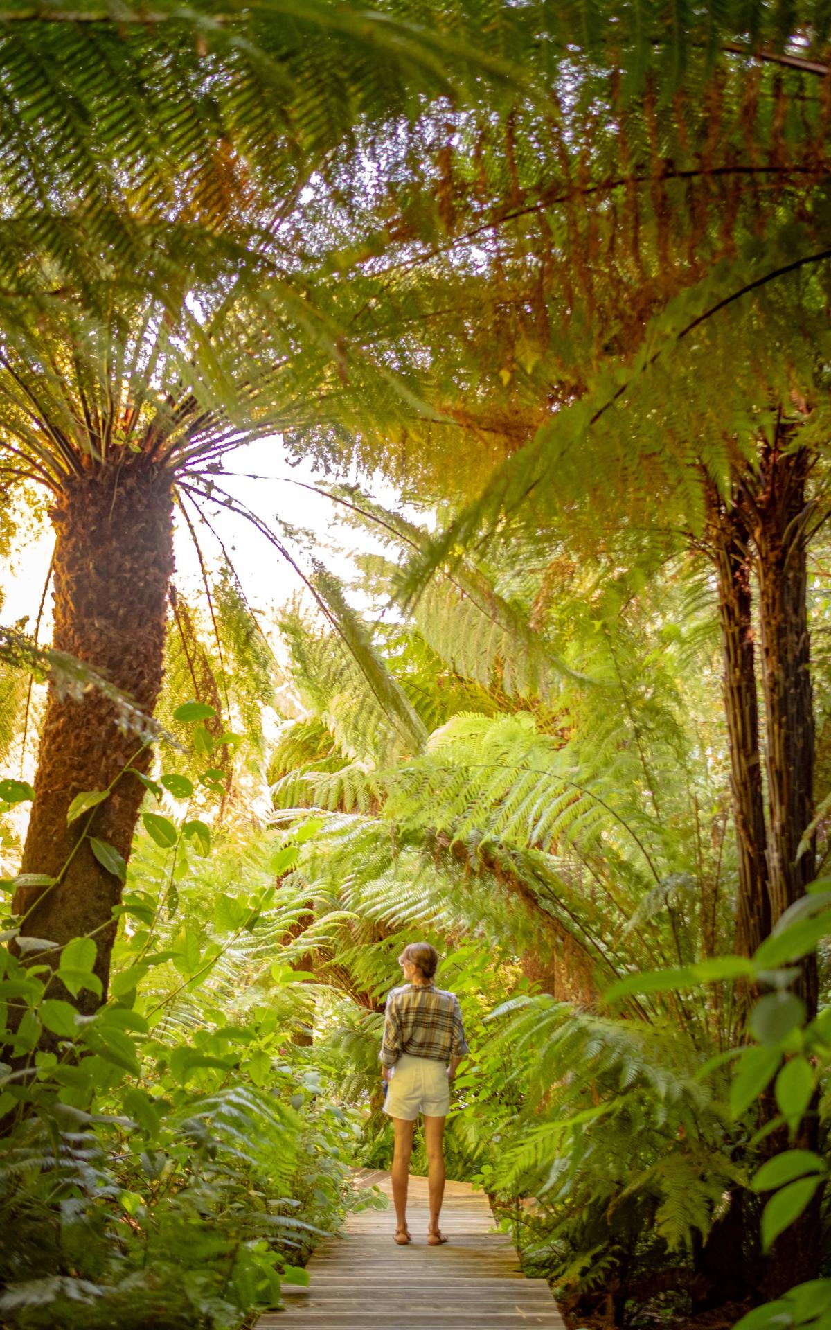 Marché bio de La Roche Jaune (Plouguiel) | Office de Tourisme de la ...