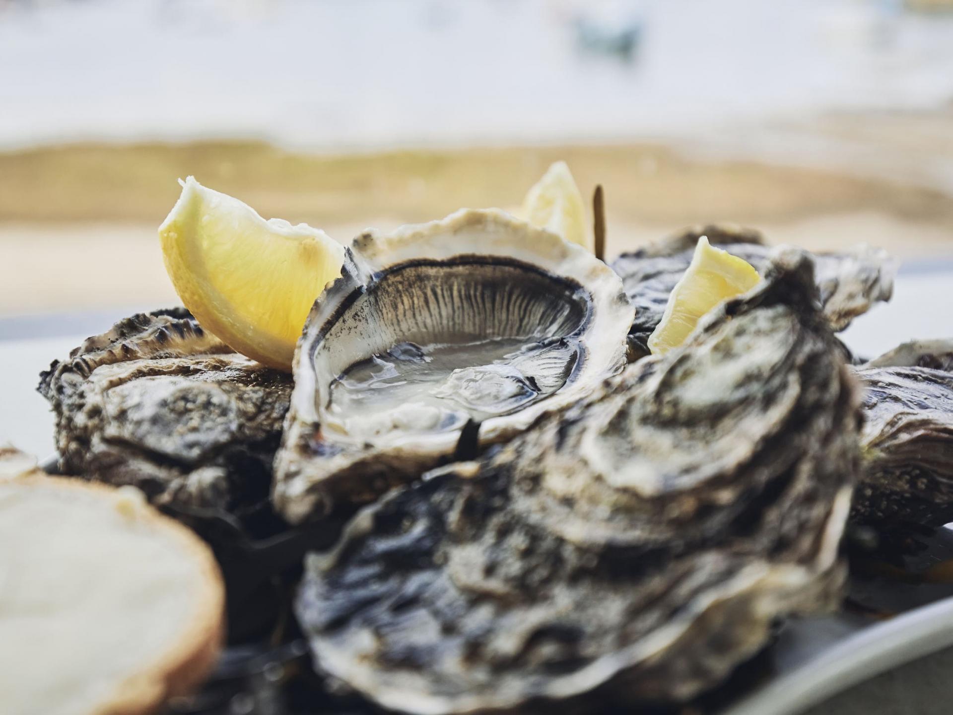 Fish and seafood: recipes with iodine flavours