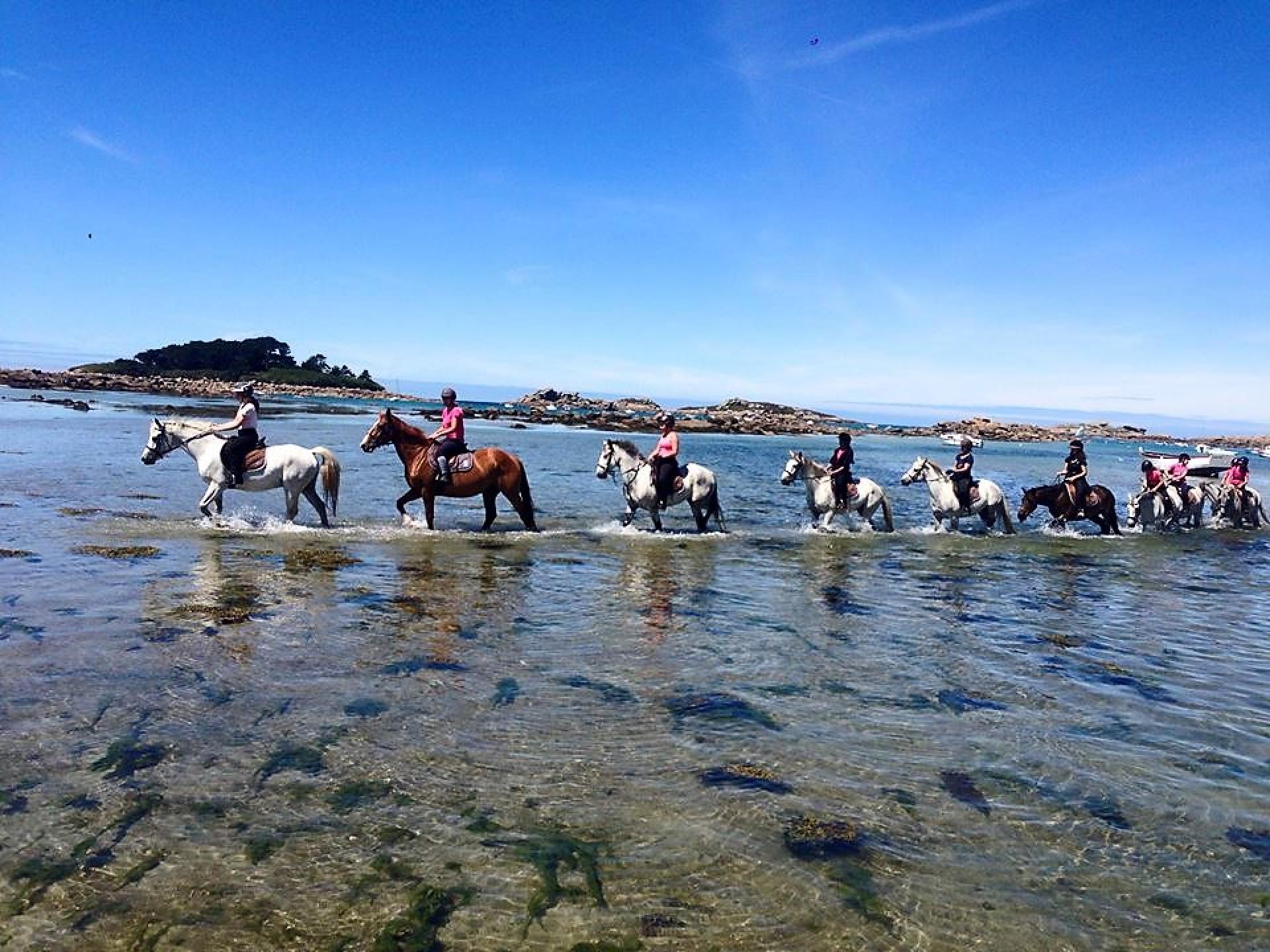 Les balades équestres iodées | Office de Tourisme de la Côte de Granit Rose