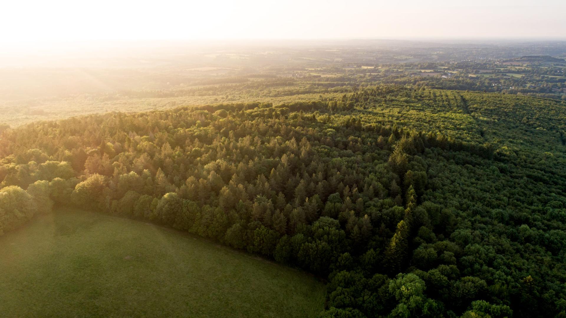 Évadez-vous en Forêt de Beffou : Nature, randonnée et histoire en ...