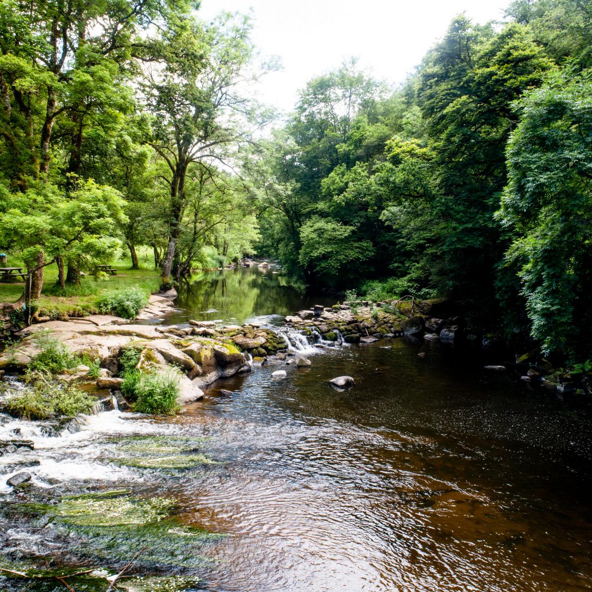 Top des destinations pour des vacances nature en Bretagne | Office de ...