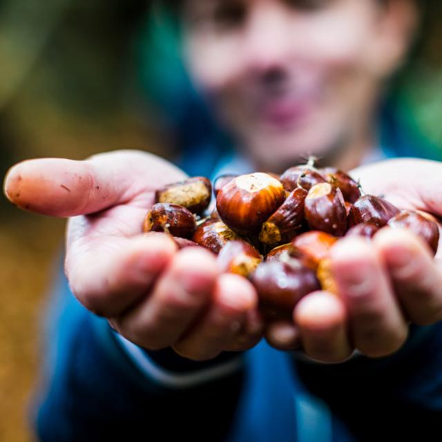 Office de Tourisme de la Côte de Granit Rose