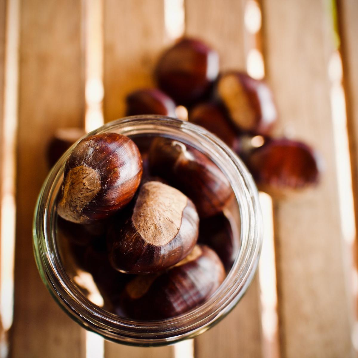 Office de Tourisme de la Côte de Granit Rose