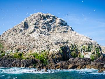 Archipel des 7 îles : le récit d’une journée en mer