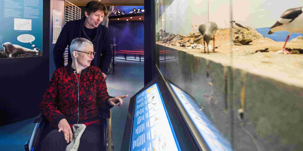 Tourisme accessible | Office de Tourisme de la Côte de Granit Rose