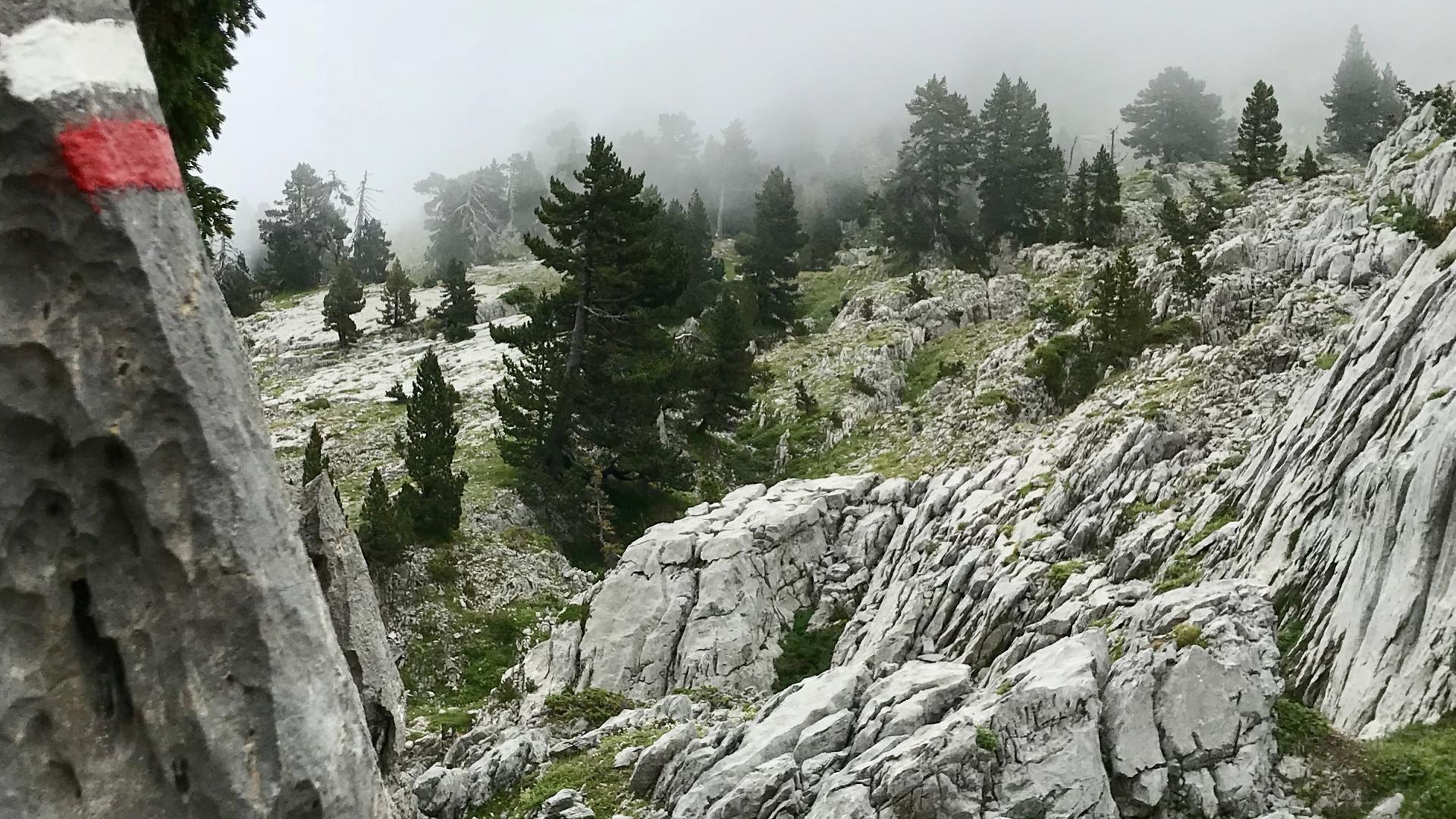 Randonnée La Pierre Saint-Martin : Parcours et sentiers rando à La ...