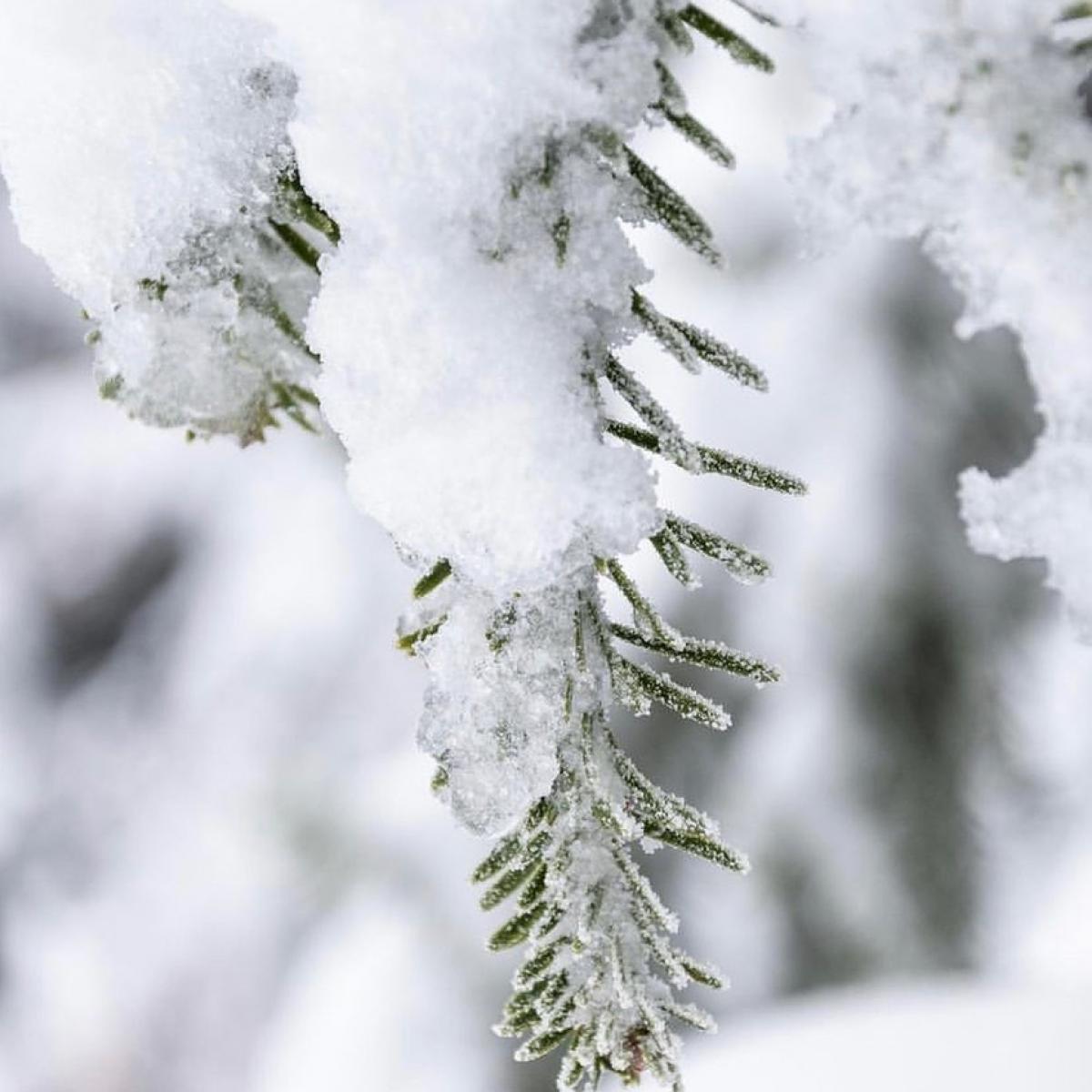 Station de ski – La Pierre Saint-Martin : Station de ski Arette ...