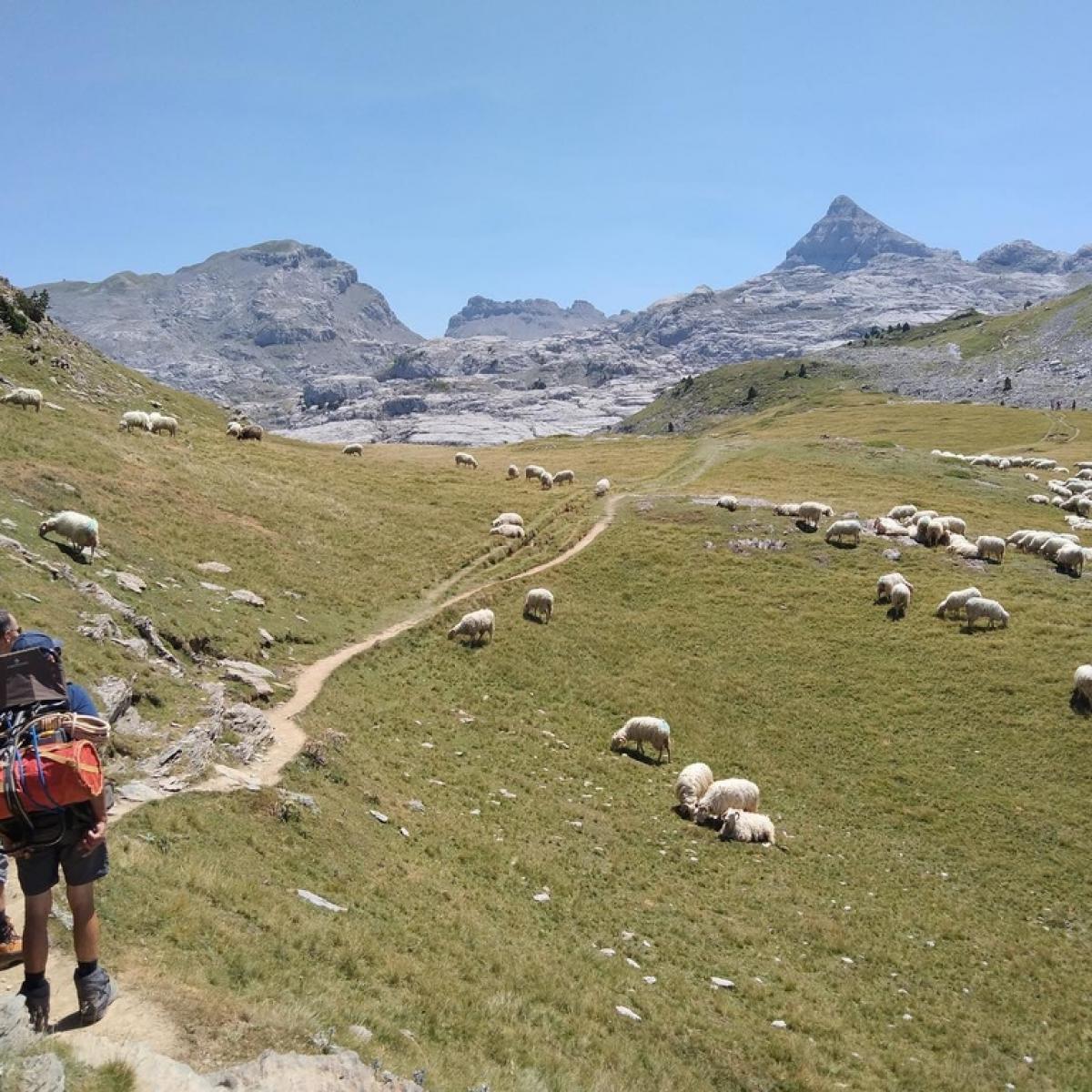 Réseaux sociaux | La Pierre Saint-Martin, Site officiel, station de ski ...