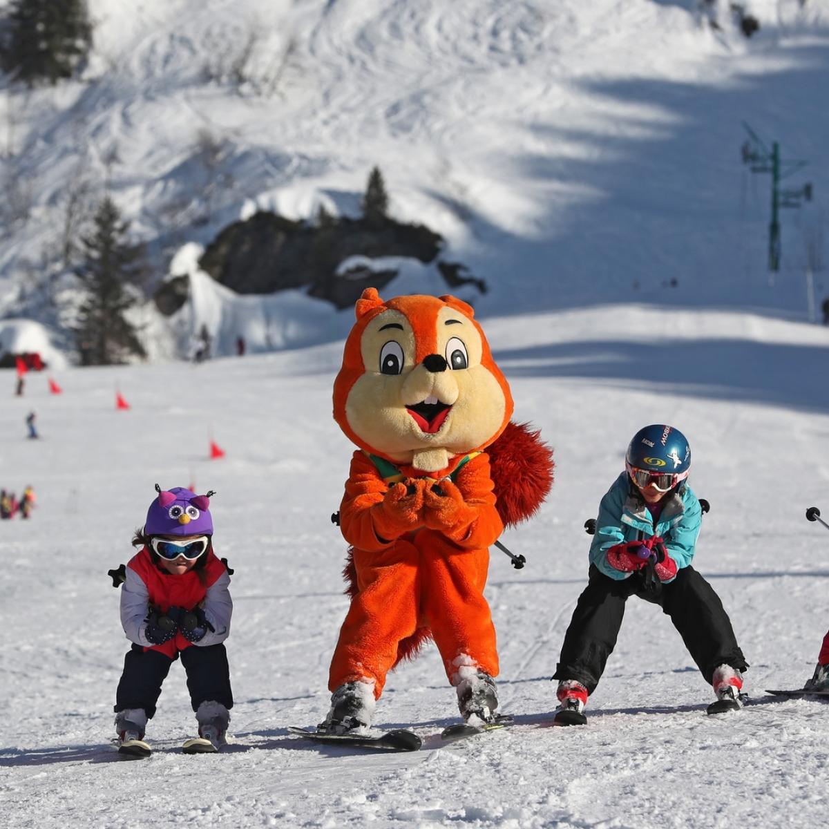 Infos pistes Le Collet – Ouverture, conditions & plans des pistes Infos ...