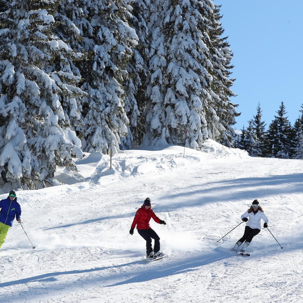 Photos/Vidéos | Le Collet