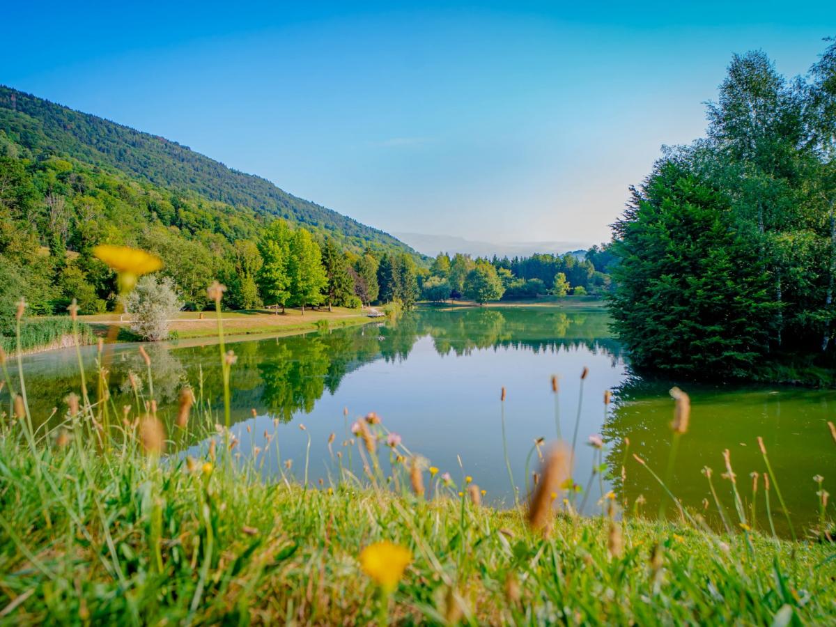Festival des Pays’Aneries (La Chapelle-du-Bard) | Le Collet