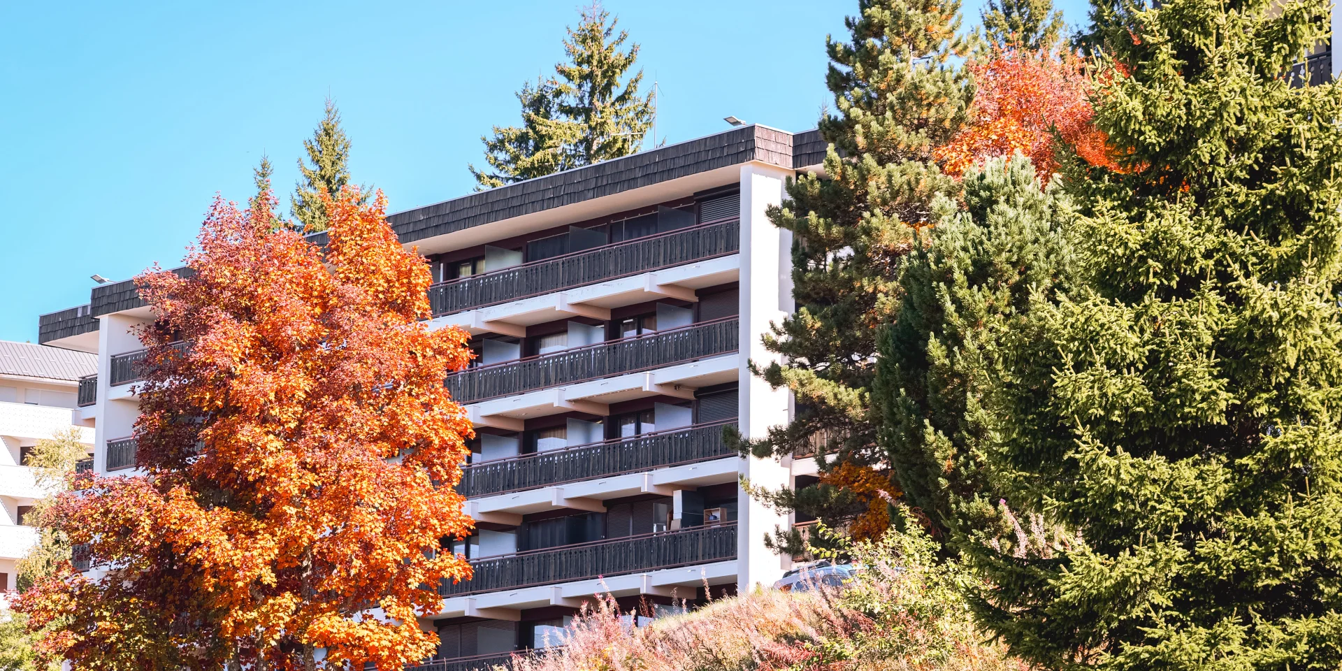 All accommodation | Le Collet