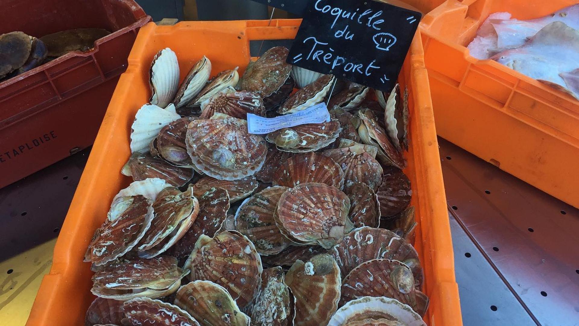 Produits de la mer | Destination LE TREPORT – MERS
