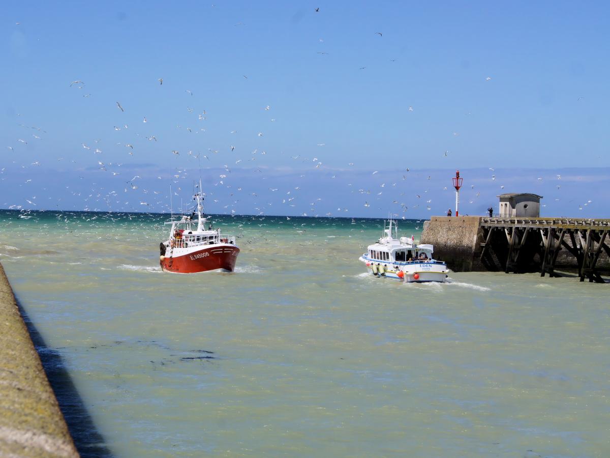 Criel-sur-Mer | Destination LE TREPORT - MERS