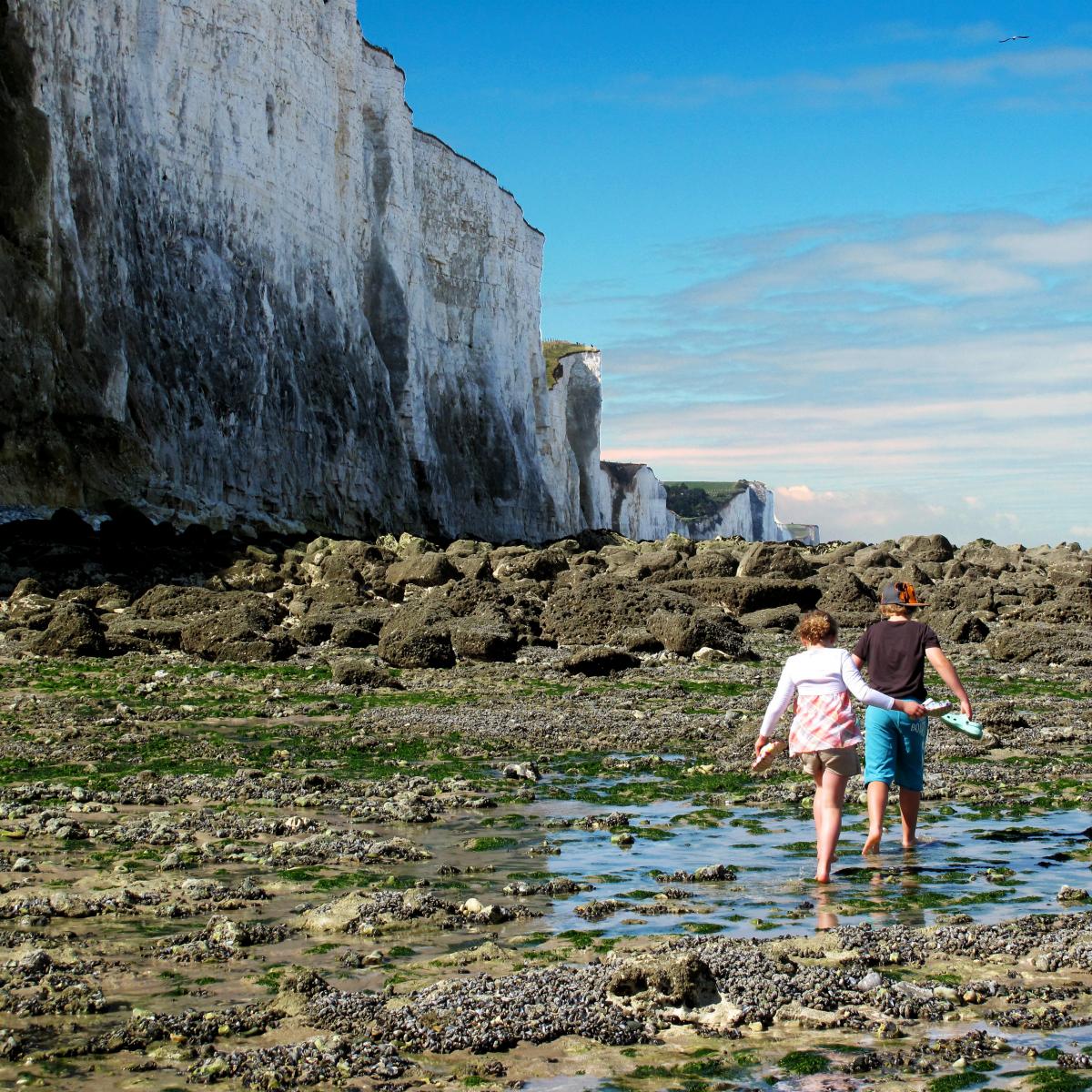 Les incontournables | Destination LE TREPORT – MERS