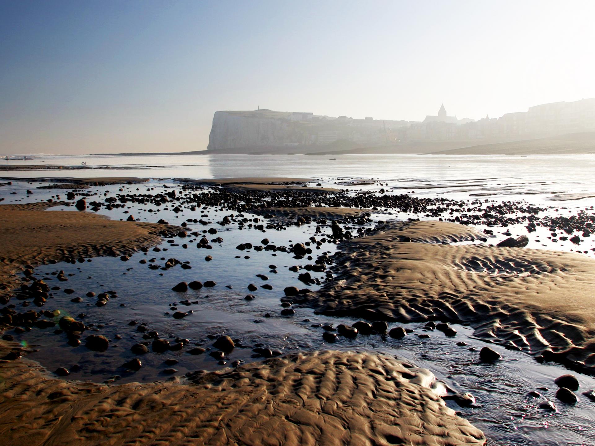 A la découverte de l’estran | Destination LE TREPORT – MERS