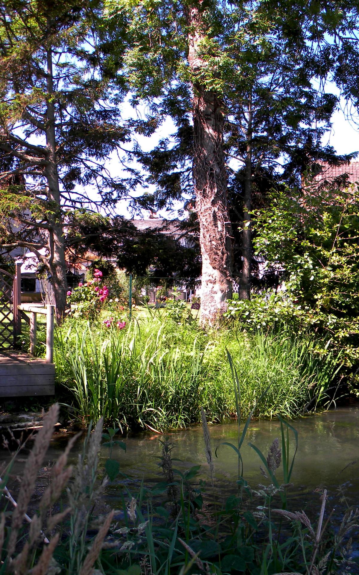 Visiter Criel-sur-Mer | Destination LE TREPORT – MERS
