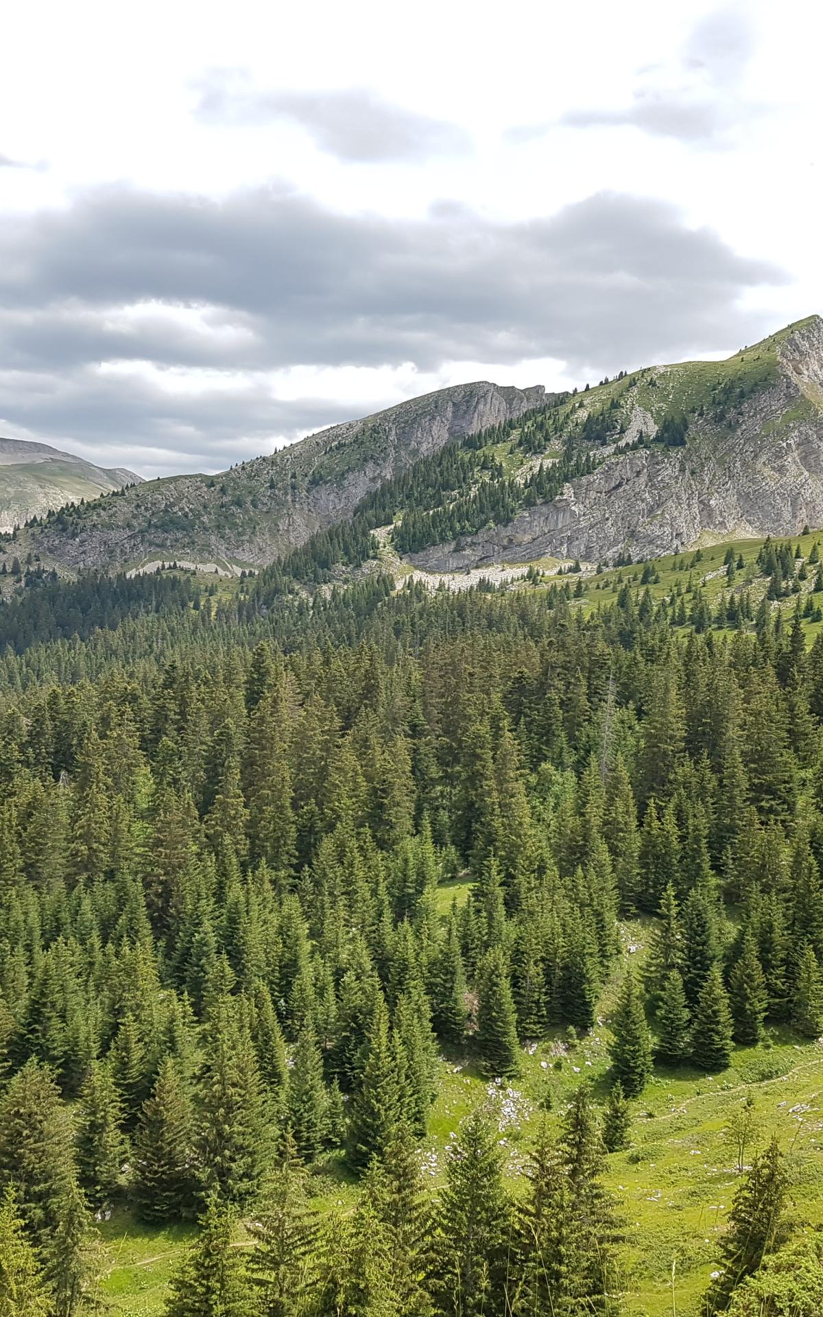 Admirer le massif du Dévoluy depuis les airs | Le Dévoluy, dans les ...