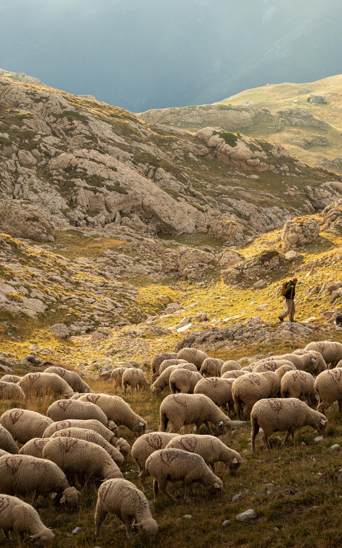 Le Dévoluy, dans les Hautes-Alpes (05) – Site officiel