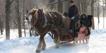 Balade en calèche – Promenade en calèche | Les 2 Alpes