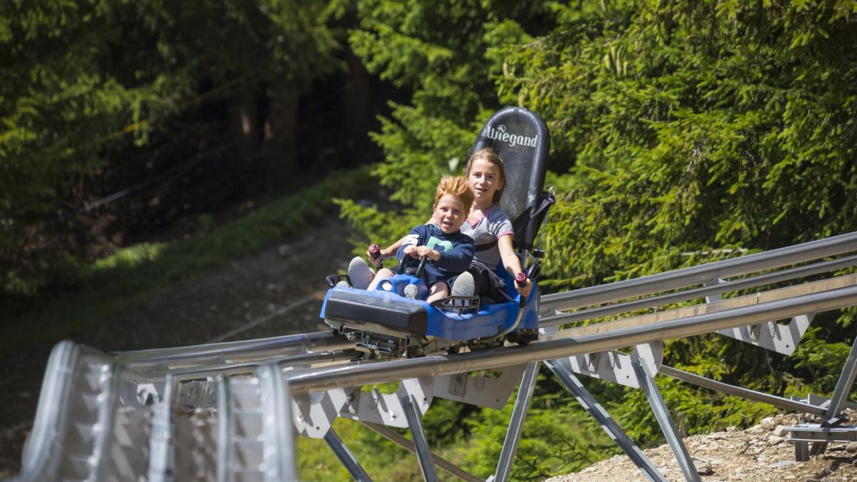 Luge d’été sur rail en Isère – Descente en luge d’été | Les 7 Laux