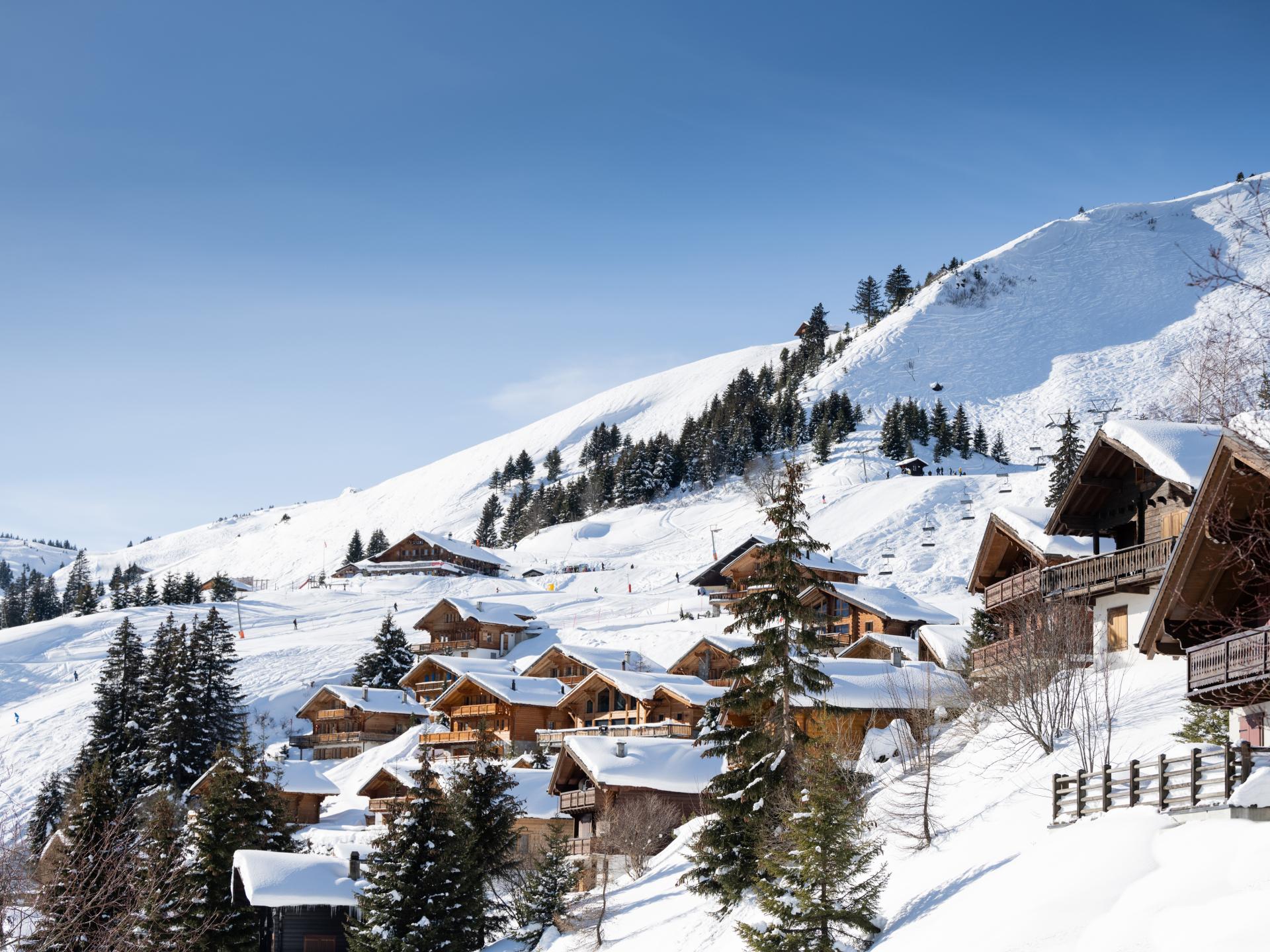 Live weather and snow conditions in the resorts | Portes du Soleil ...