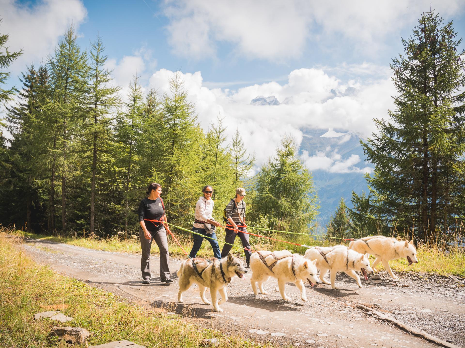 Les Crosets & Champoussin, Val d’Illiez – Station de ski suisse ...