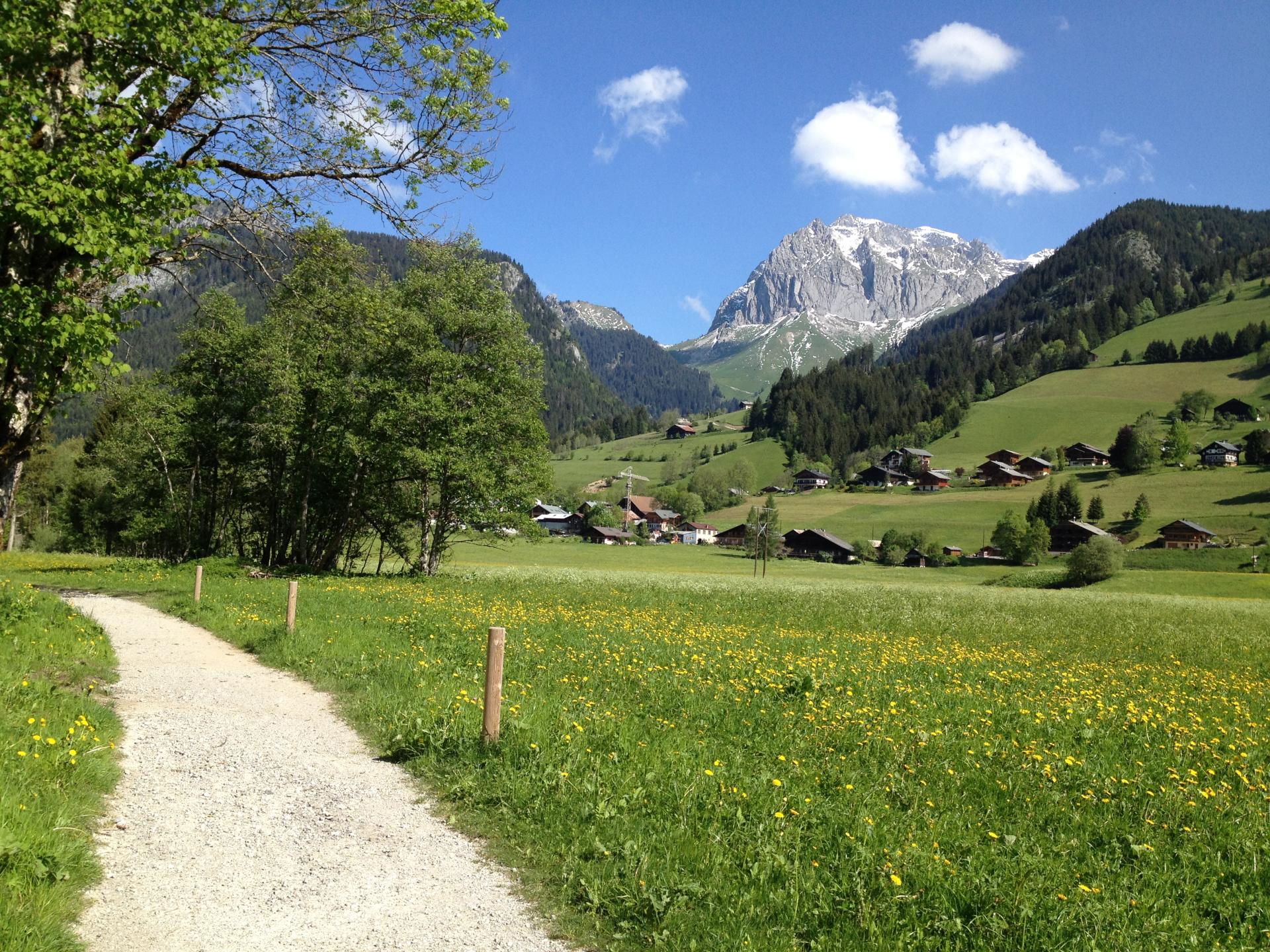 Forfait VTT | Portes du Soleil