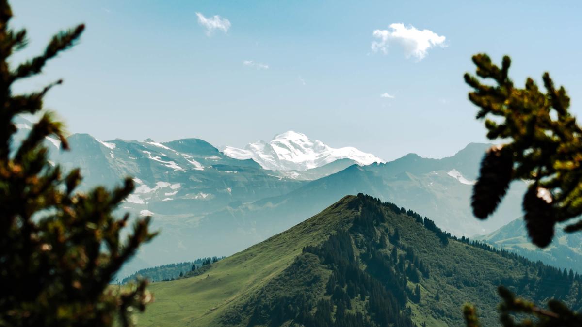 Montriond : station-village Montriond-Avoriaz | Montriond